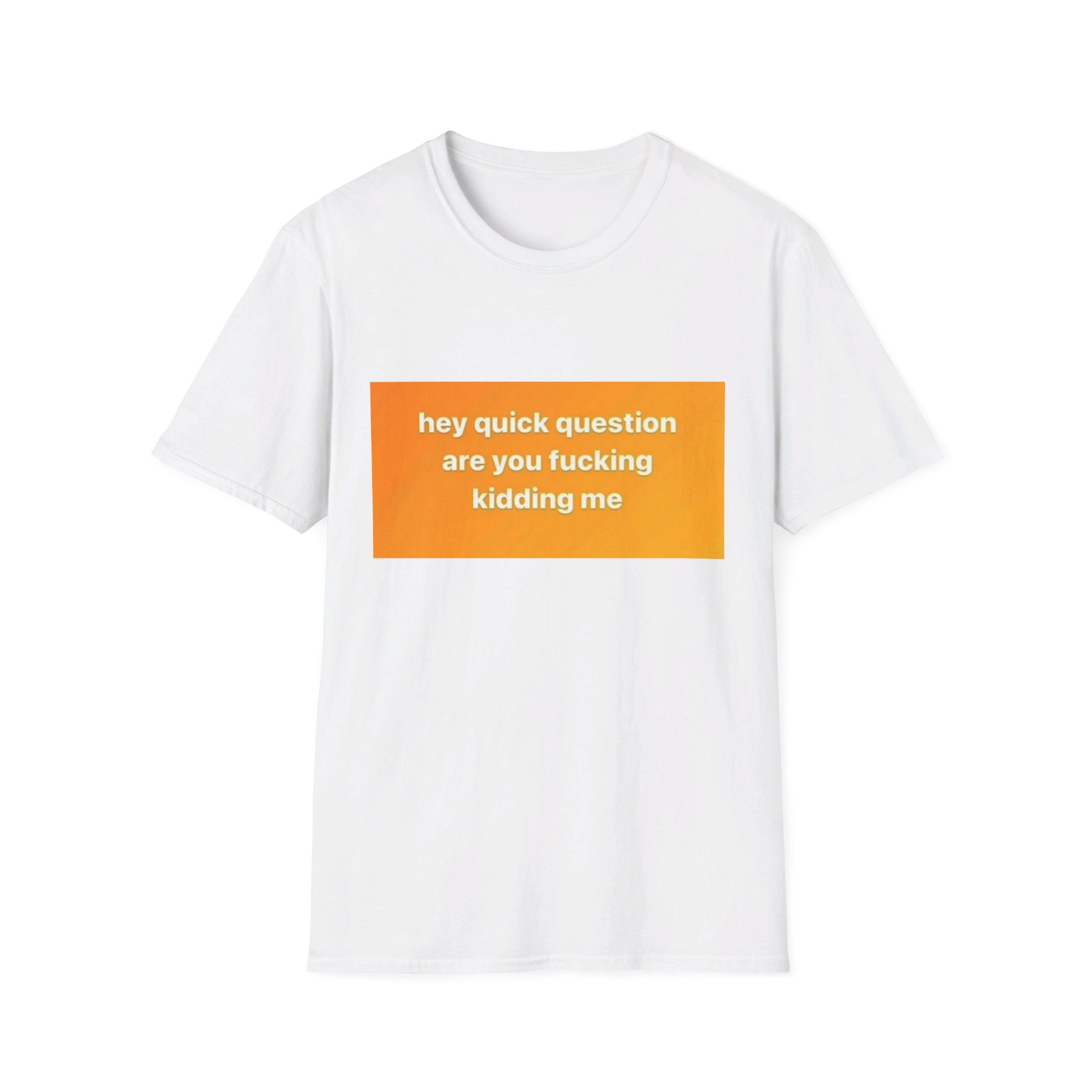 Quick Question Mystery Meme Brainrot Gen Z Party Gift Prank | Unisex ...