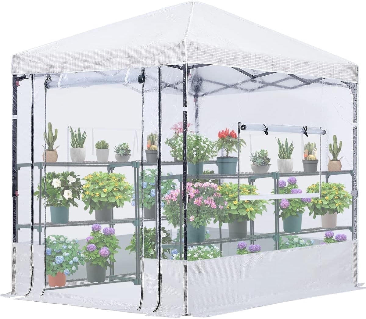 Quictent 8x6 Walk-in Pop-up Greenhouse, Easy Setup, Portable Hight ...
