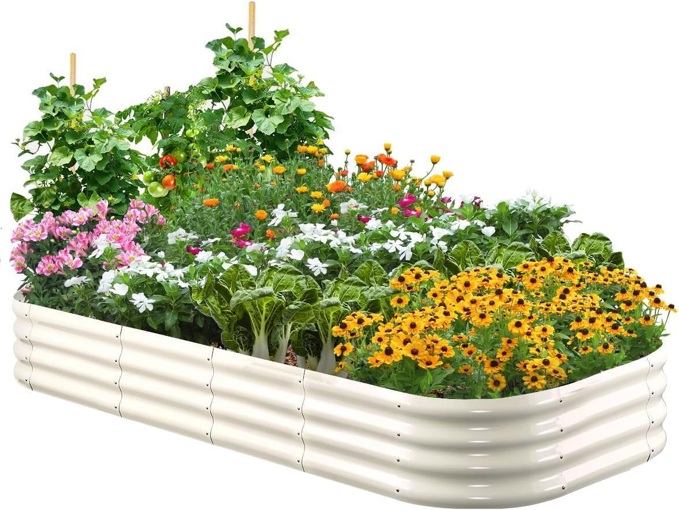 Quictent Galvanized Raised Garden Bed Kit, 6x3x1ft Oval Large Metal ...