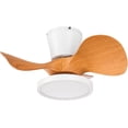 Quiet Ceiling Fan with LED Light 22 inch Large Air Volume Remote ...