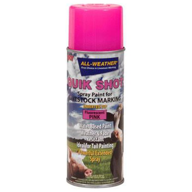 Quik Shot 61112 Livestock Marker Spray Paint, Fluorescent Pink, 16-oz ...