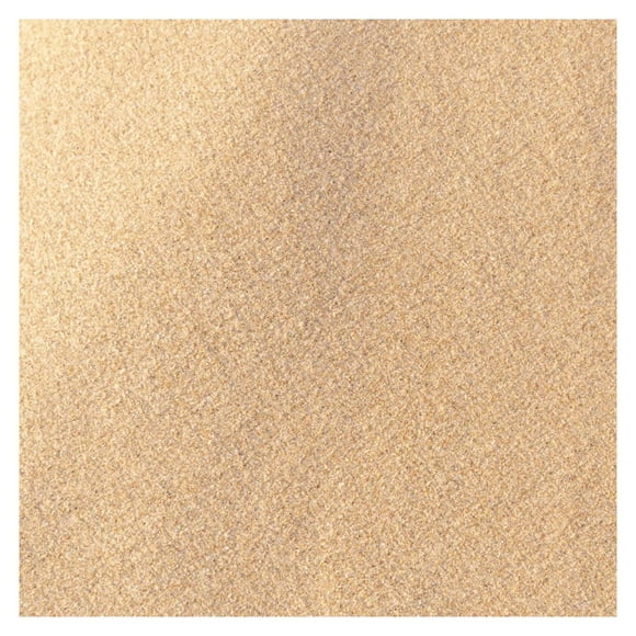 50 Lb Play Sand