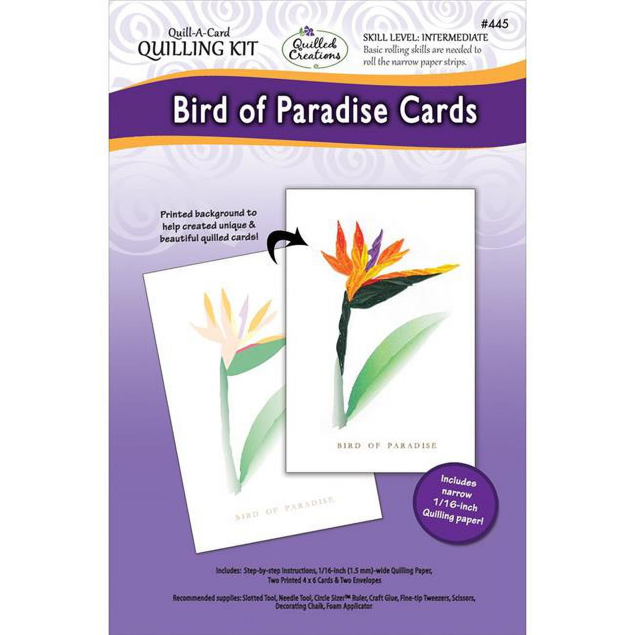 Quilled Creations QC445 Birds Of Paradise Quilling Kit - Walmart.com