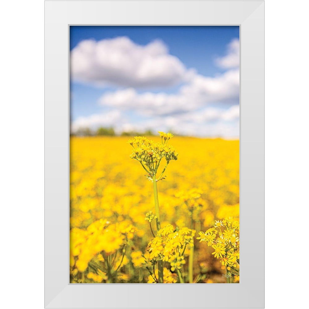 Quillen, Donnie 17x24 White Modern Wood Framed Museum Art Print Titled ...