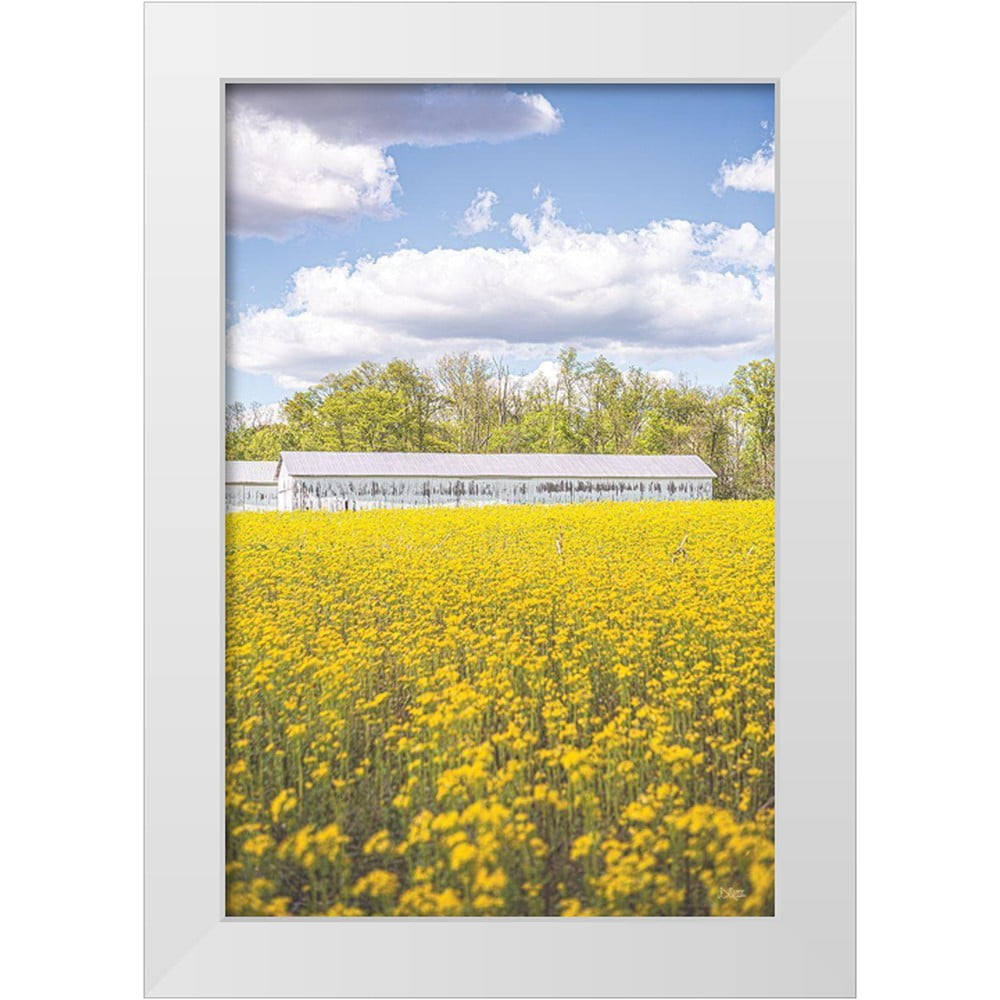 Quillen, Donnie 17x24 White Modern Wood Framed Museum Art Print Titled ...