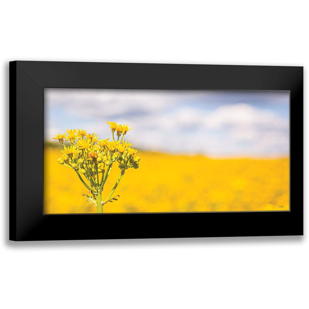 Quillen, Donnie 18x11 Black Modern Framed Museum Art Print Titled ...