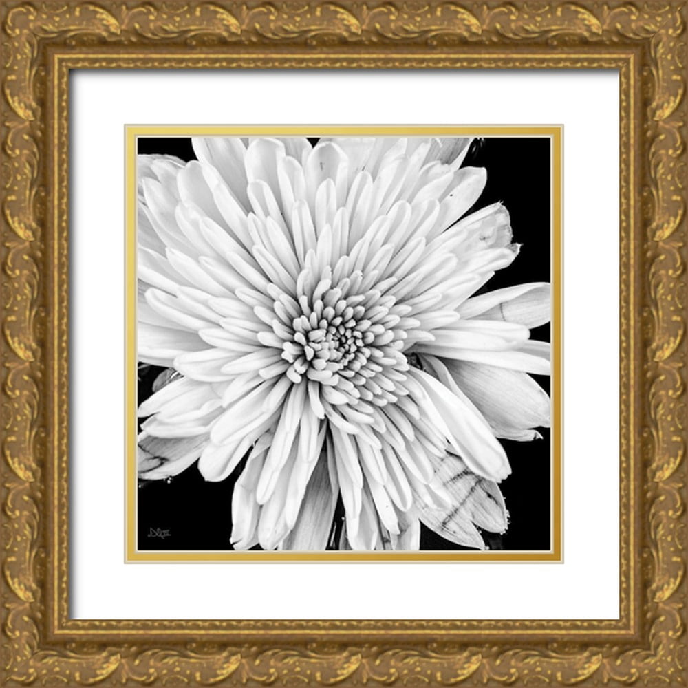 Quillen, Donnie 20x20 Gold Ornate Wood Framed with Double Matting ...