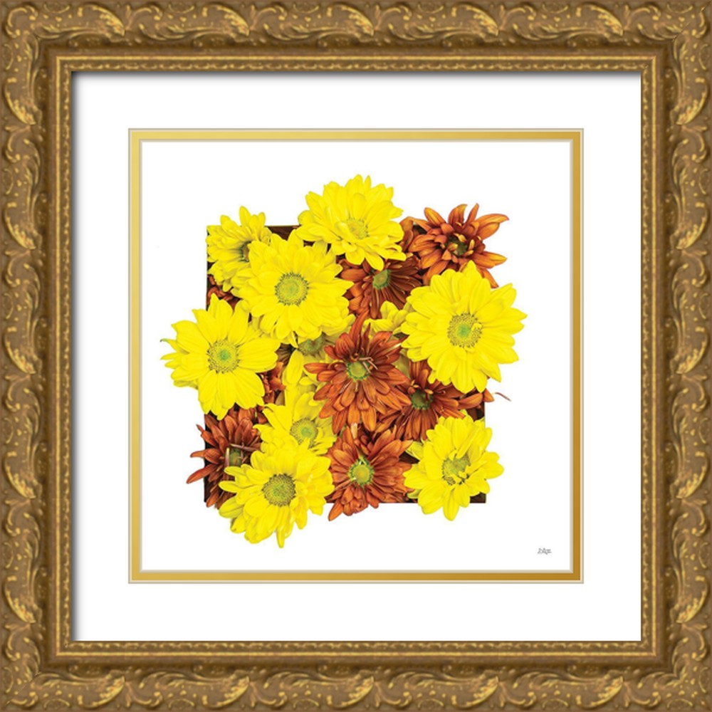 Quillen, Donnie 20x20 Gold Ornate Wood Framed with Double Matting ...