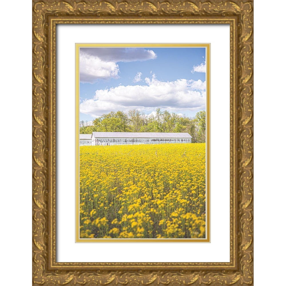 Quillen, Donnie 23x32 Gold Ornate Wood Framed with Double Matting ...