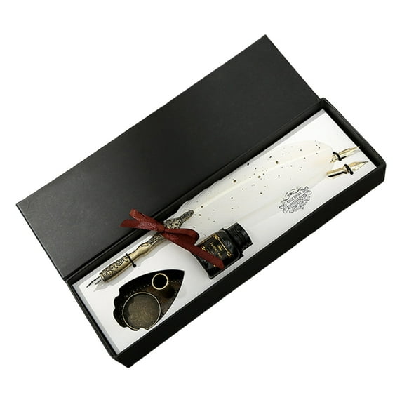 Quills Pen and Ink Set Feather Pen Ink Set Calligraphy Pen Set Fountain ...