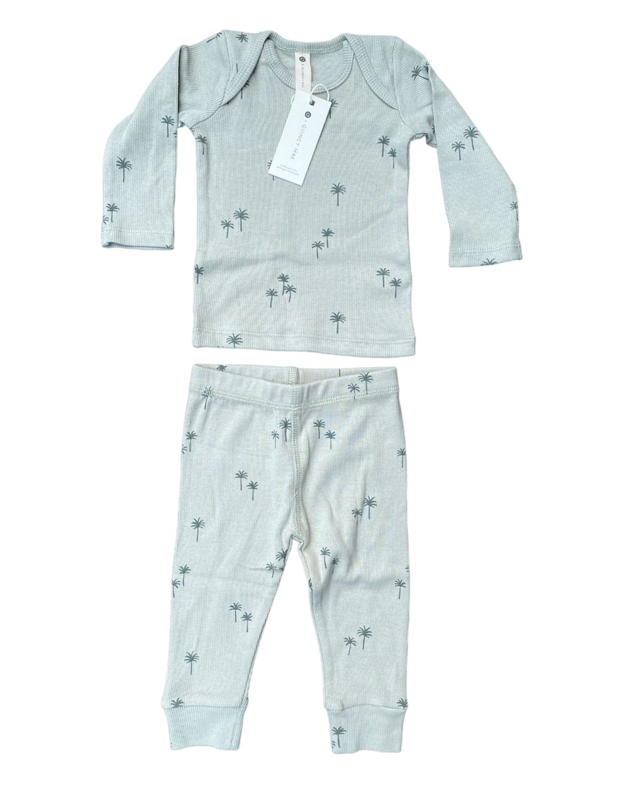 Quincy Mae Baby 2pc Ribbed Palms Top & Bottom Unisex Set Sage Green ...