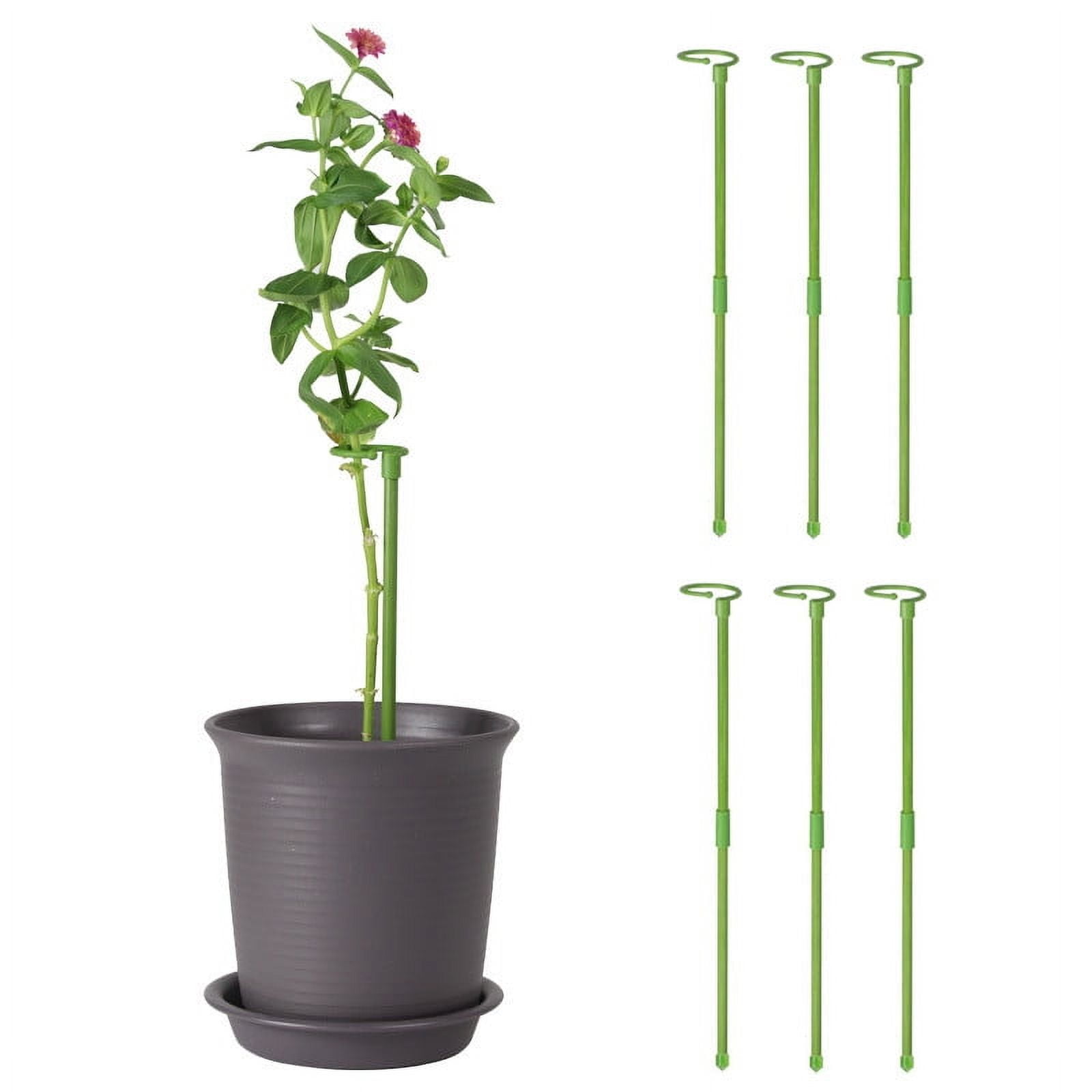 Todaioua 6pcs Plant Support Frame Garden Flower Stake Holder Trellis ...