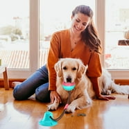 Eoperou Interactive Dog Toy Ball for Small Medium Dogs Motion Activated ...