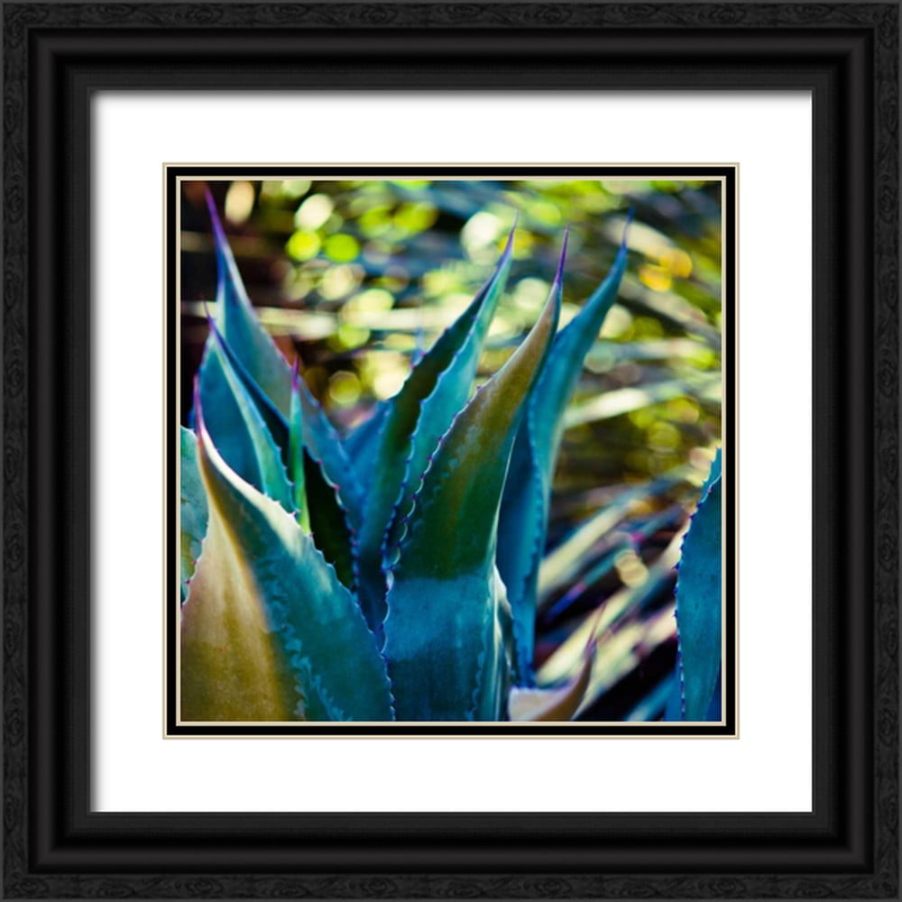 Quintero, Sonja 12x12 Black Ornate Wood Framed with Double Matting Museum Art Print Titled ...