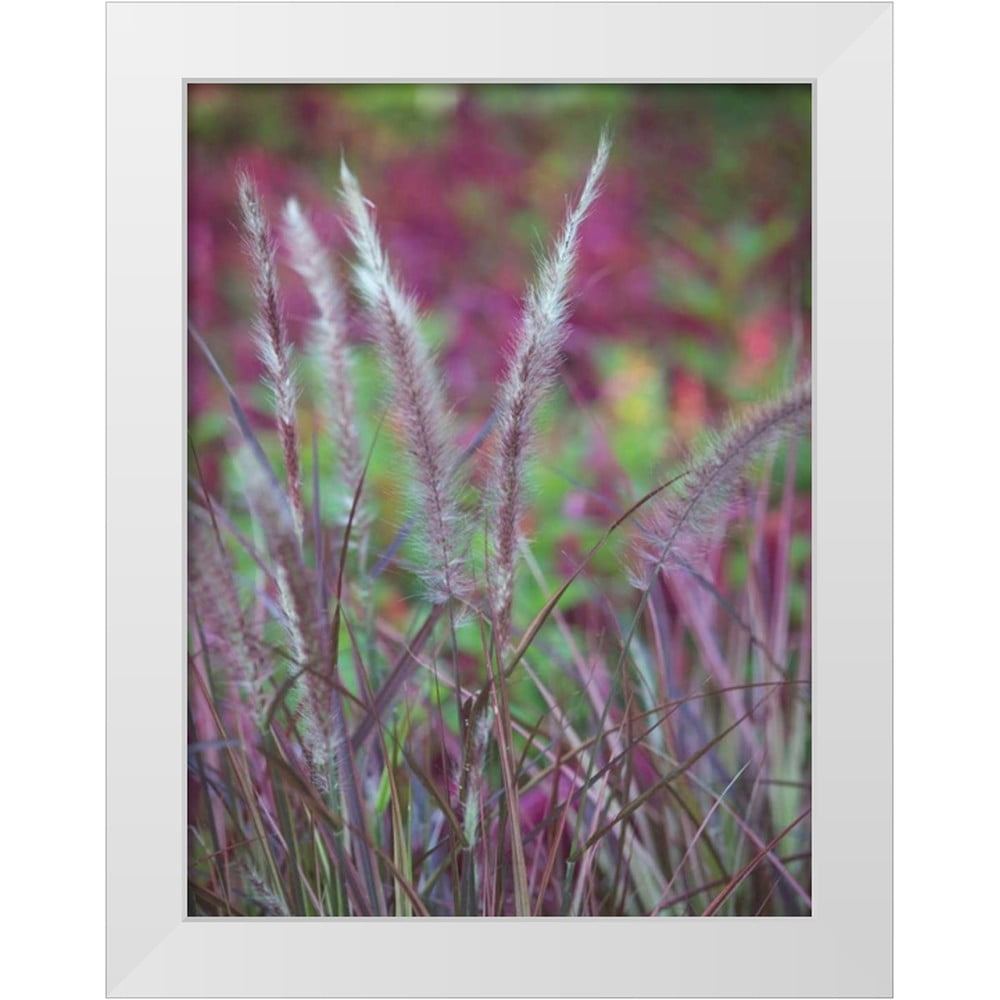 Quintero, Sonja 12x14 White Modern Wood Framed Museum Art Print Titled ...