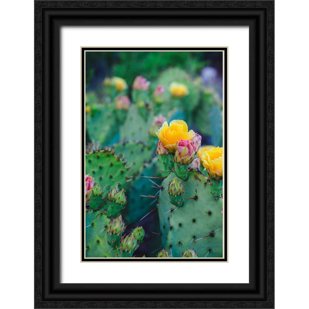 Quintero, Sonja 13x18 Black Ornate Wood Framed with Double Matting Museum Art Print Titled ...