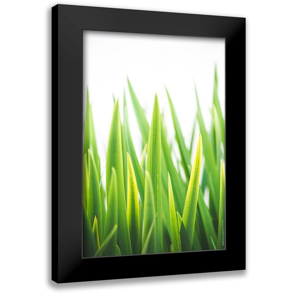 Quintero, Sonja 17x24 Black Modern Framed Museum Art Print Titled ...