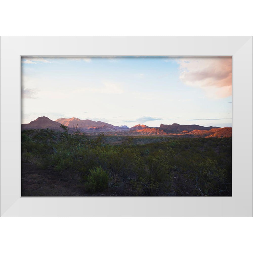 Quintero, Sonja 24x17 White Modern Wood Framed Museum Art Print Titled ...
