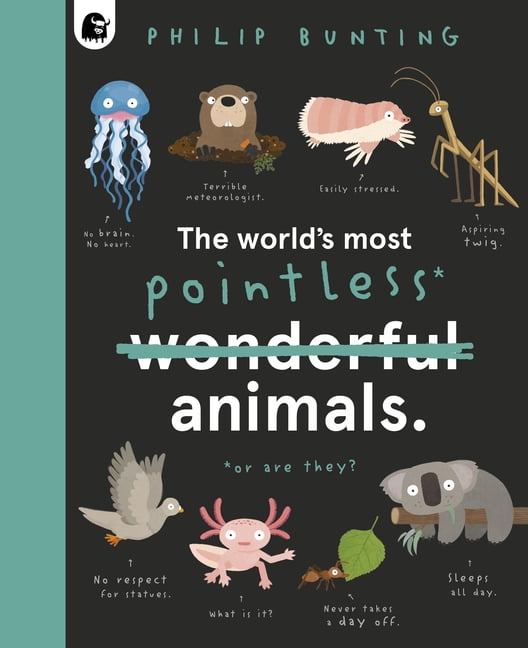 Quirky Creatures The World's Most Pointless Animals: Or Are They?, Book ...