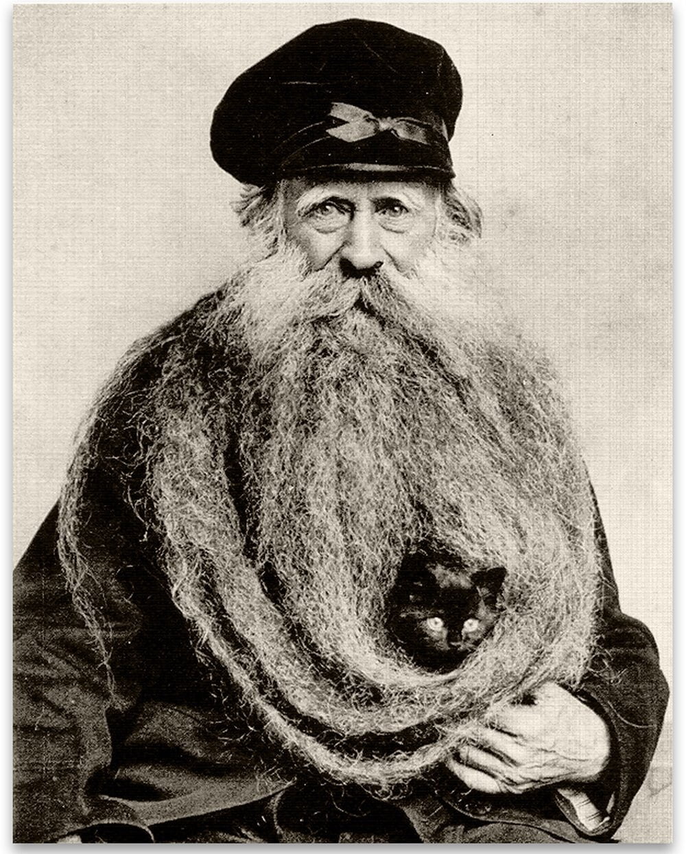 Quirky Kitten Hiding in Old Mans Giant Beard Bizarre Strange Weird ...