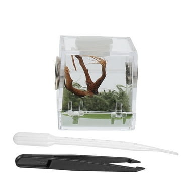 Spider Terrarium, Clear Acrylic Reptile Cage Habitat Insect Feeding Box ...