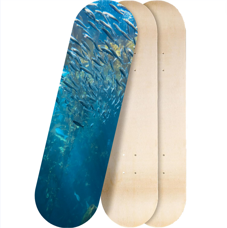 LandWave LWR2 Plastic Ramps for Skateboards, Skates, BMX Bikes - 2 Pack ...