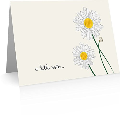 Quni Brand Daisies Note Card Set - Daisy Thank You Cards (24 cards with ...