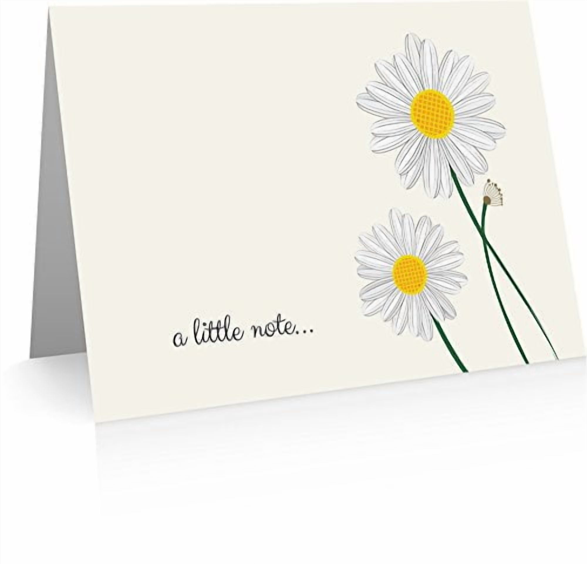 Quni Brand Daisies Note Card Set - Daisy Thank You Cards (24 cards with ...