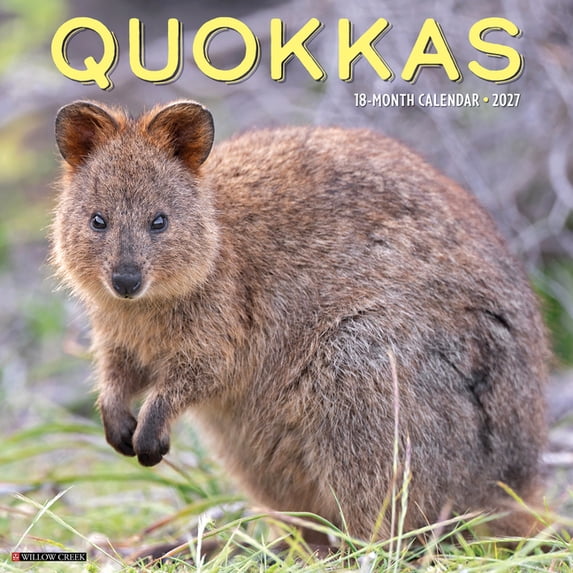 Quokkas 2027 12 X 12 Wall Calendar, (Paperback) - Walmart.com