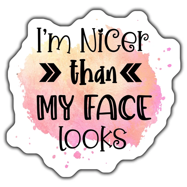 Quote Sticker, I'M Nicer Than My Face Looks, Sticker For Laptop,Kindle ...