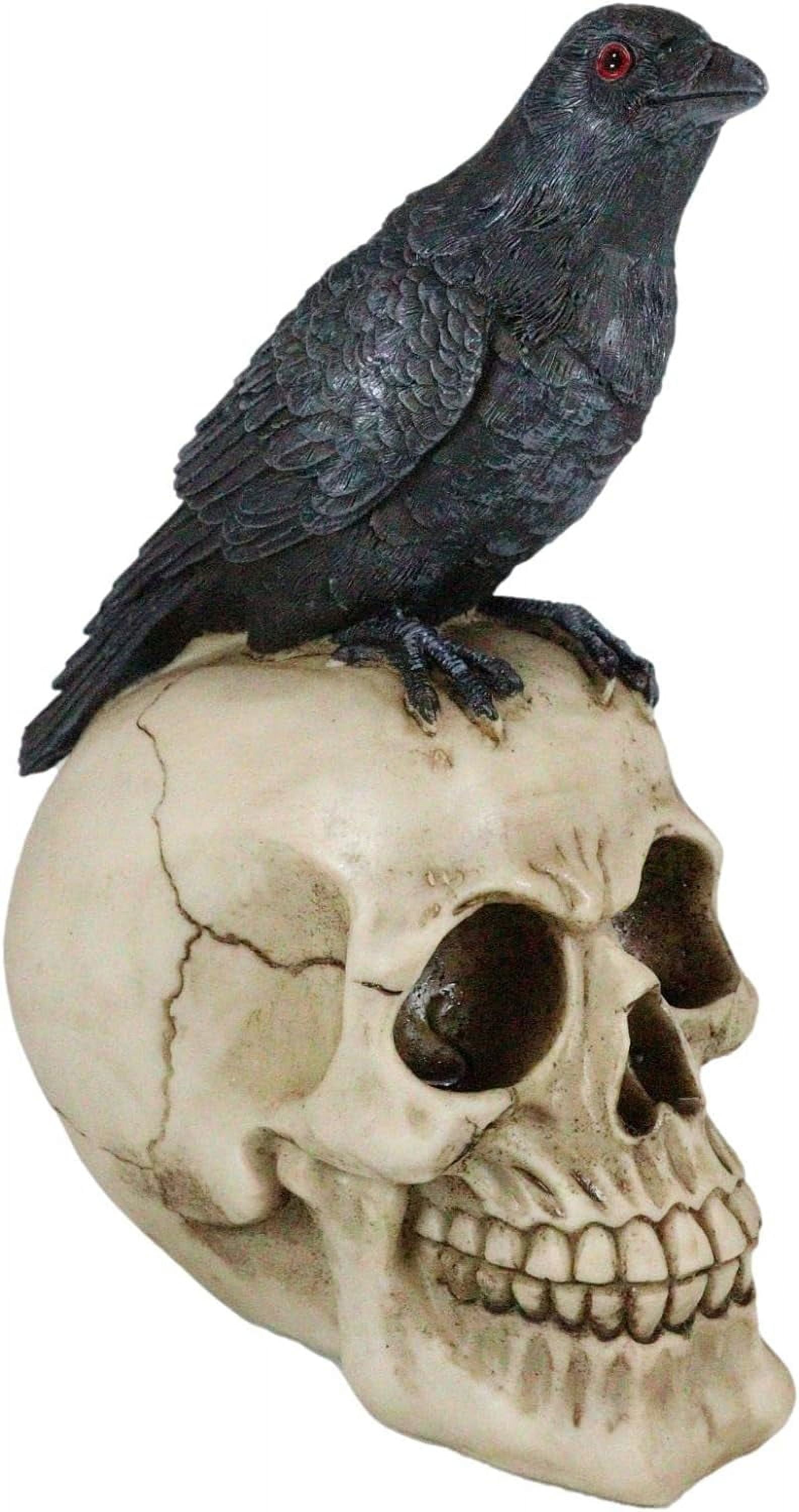Quoth The Raven Nevermore Black Crow with Bloodshot Red Eyes Perching ...