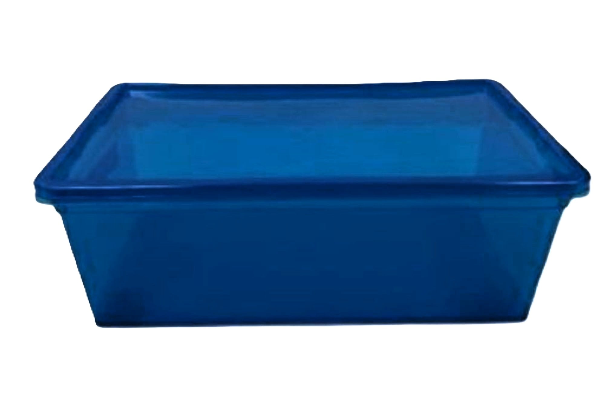 Plastic Storage Box 5L, Light Blue, 13.2"x7.5"x4.5", Qutu, Use by ...