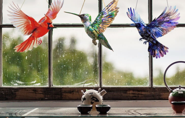 Qwertyu Outfany Spirit Birds,Sheremart Spirit Birds,Sherum Spirit Birds ...