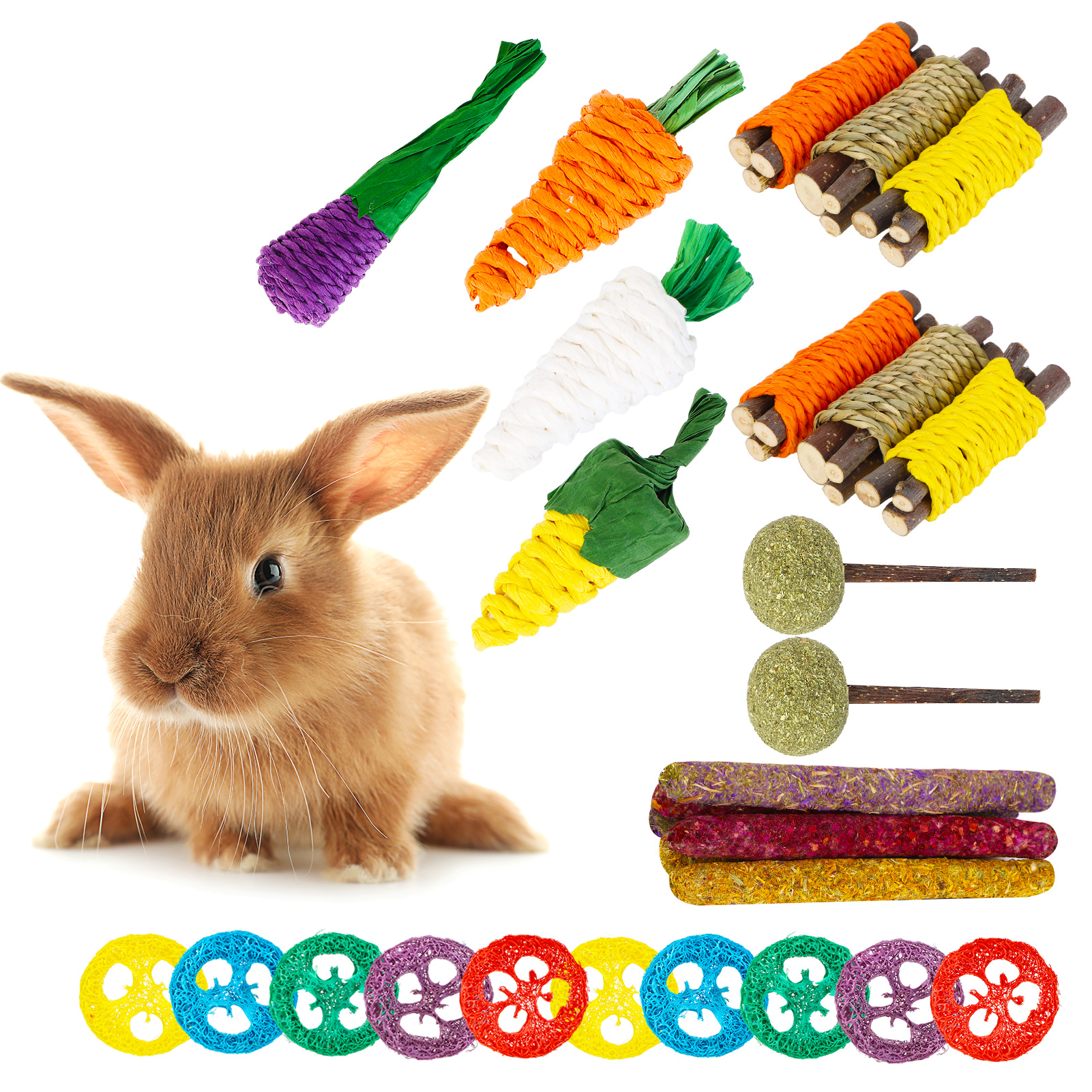 Qweryboo 2 Pcs Rabbit Hamster Chew Toys for Teeth Grinding, 100% ...