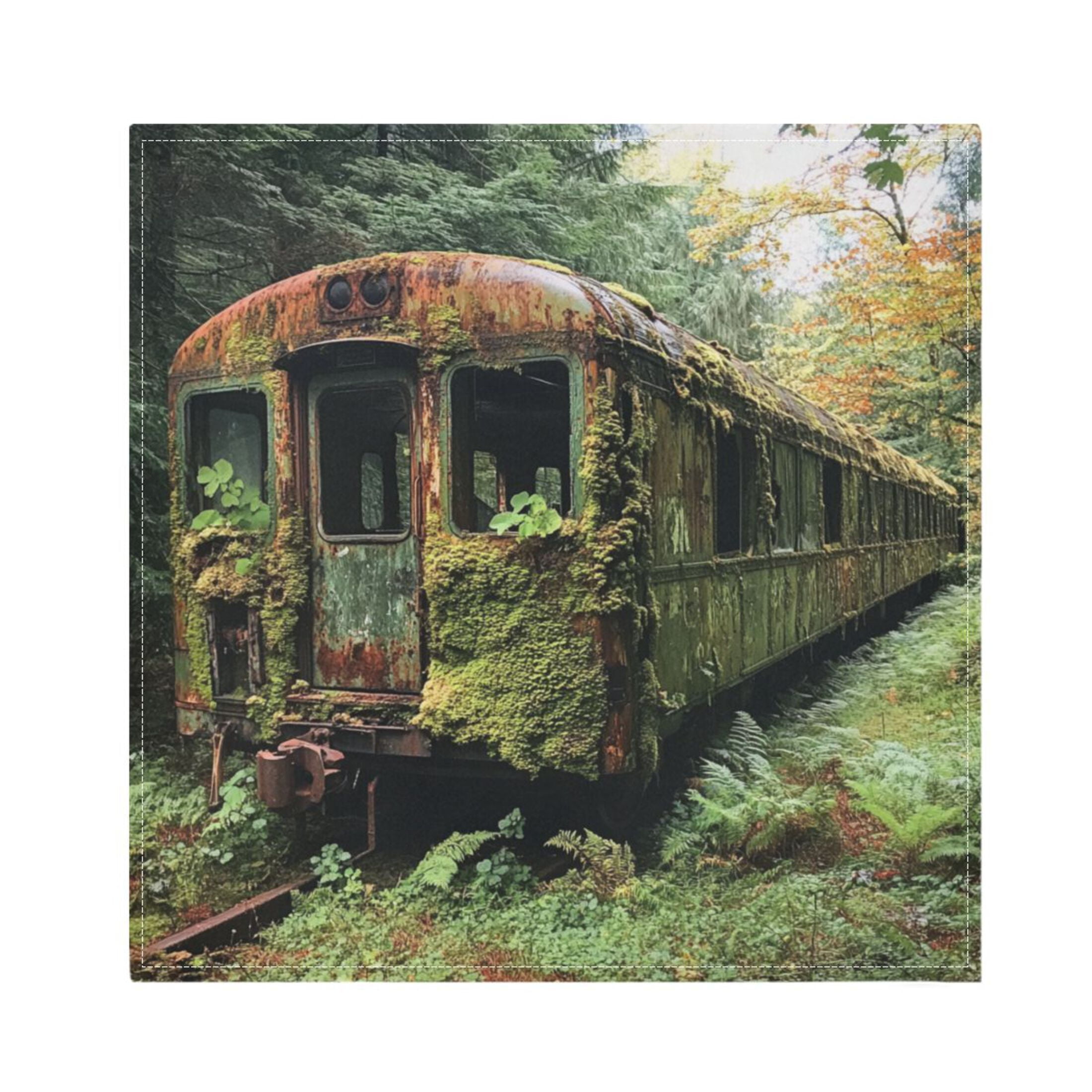 Qxltty Abandoned Train Car Napkins 20×20in Perfect for Parties Dinners ...