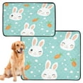 Qxltty Cute Cartoon Rabbit and Carrot Pattern Cat litter Pads Pet Set ...