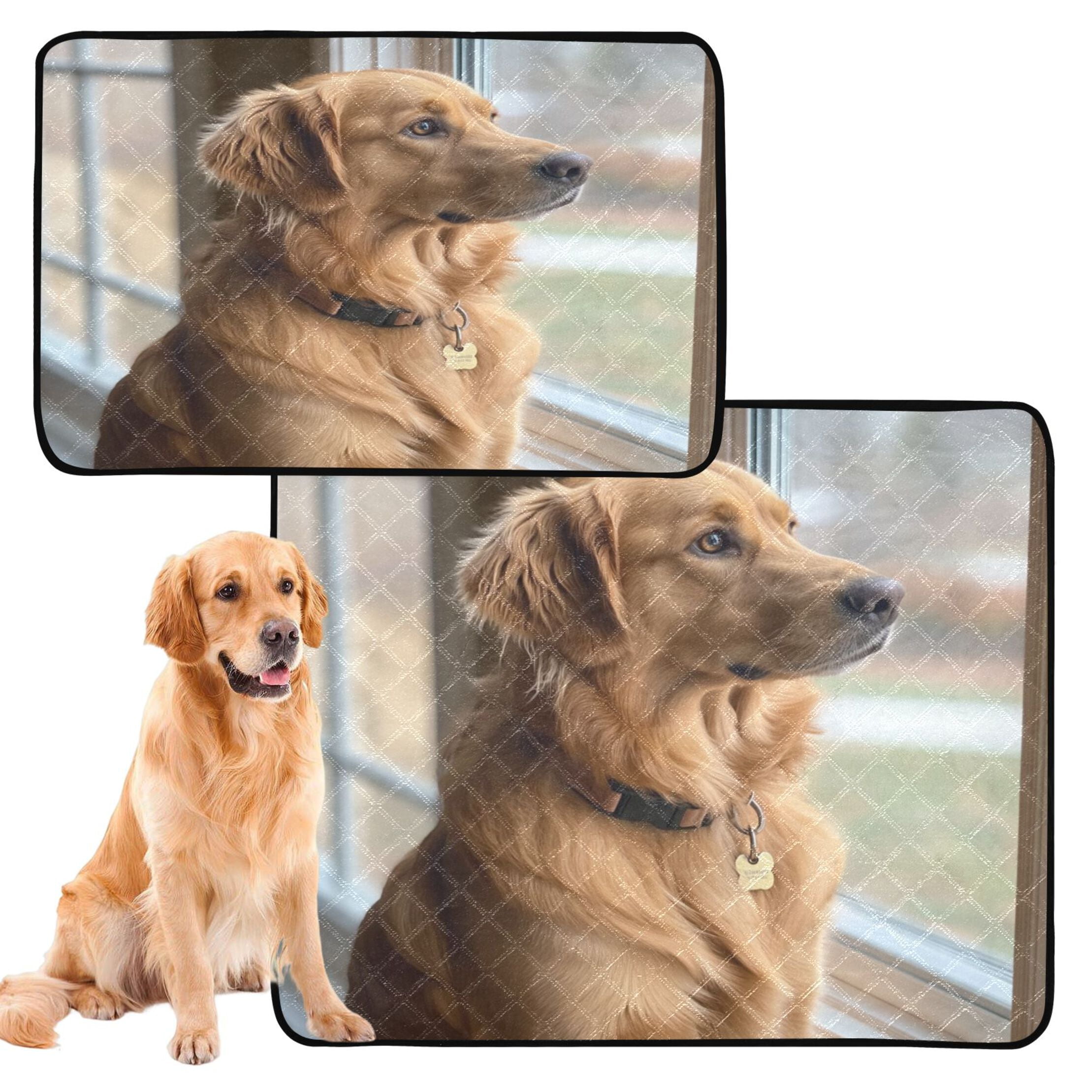 Qxltty Golden Retriever Cat litter Pads Pet Set of 2 Diaper Mats Center ...