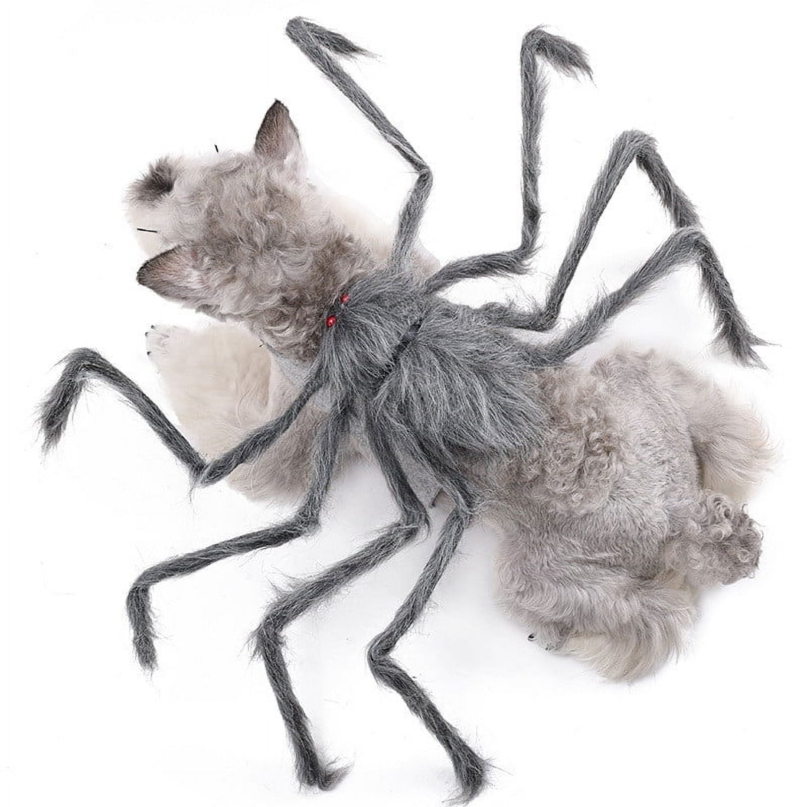 Comefolife Pet Spider Costume - Halloween Spider Costume for Cats and ...