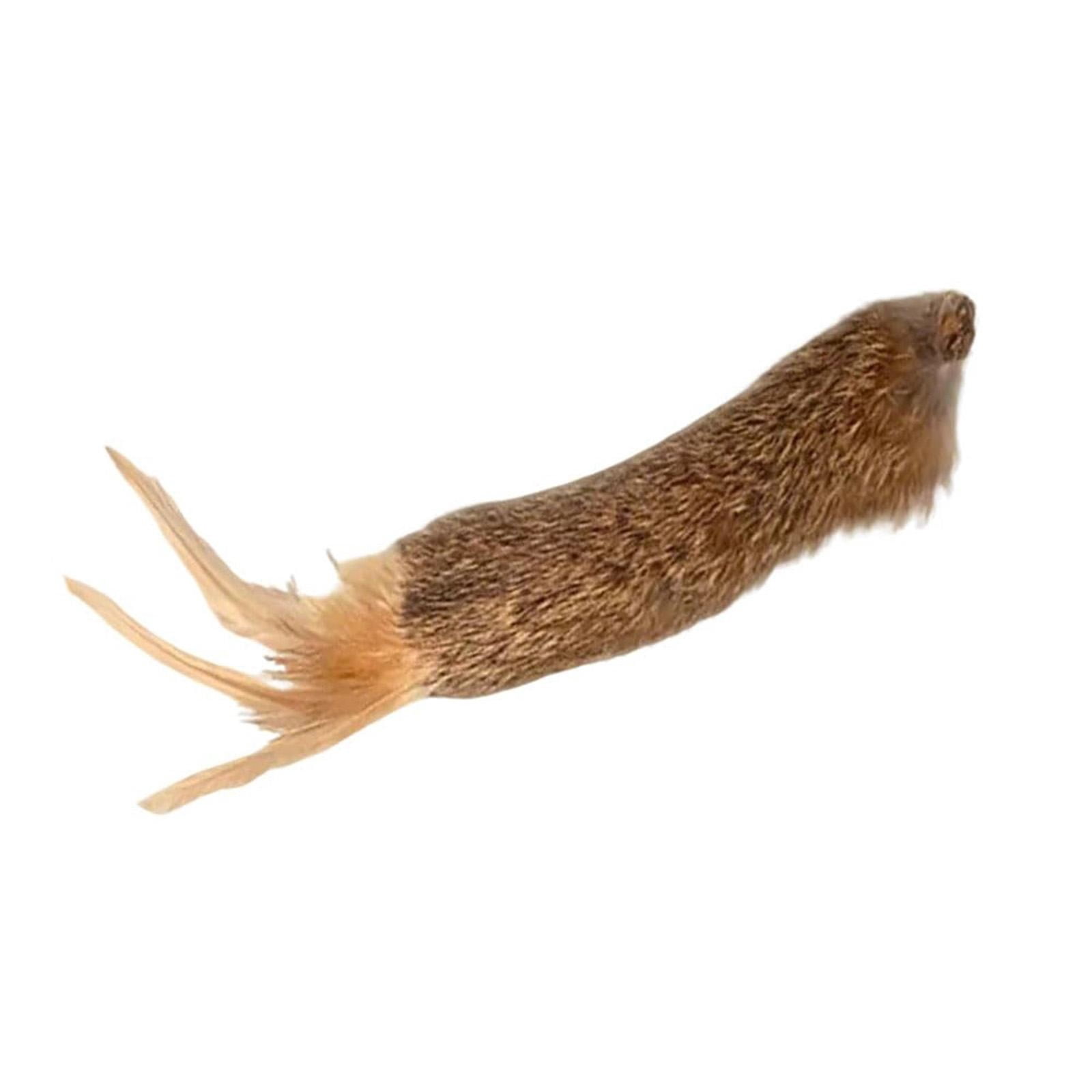 Qyaukm Natural Feather Tail Strip Cat Toy, Interactive Teaser Wand for ...