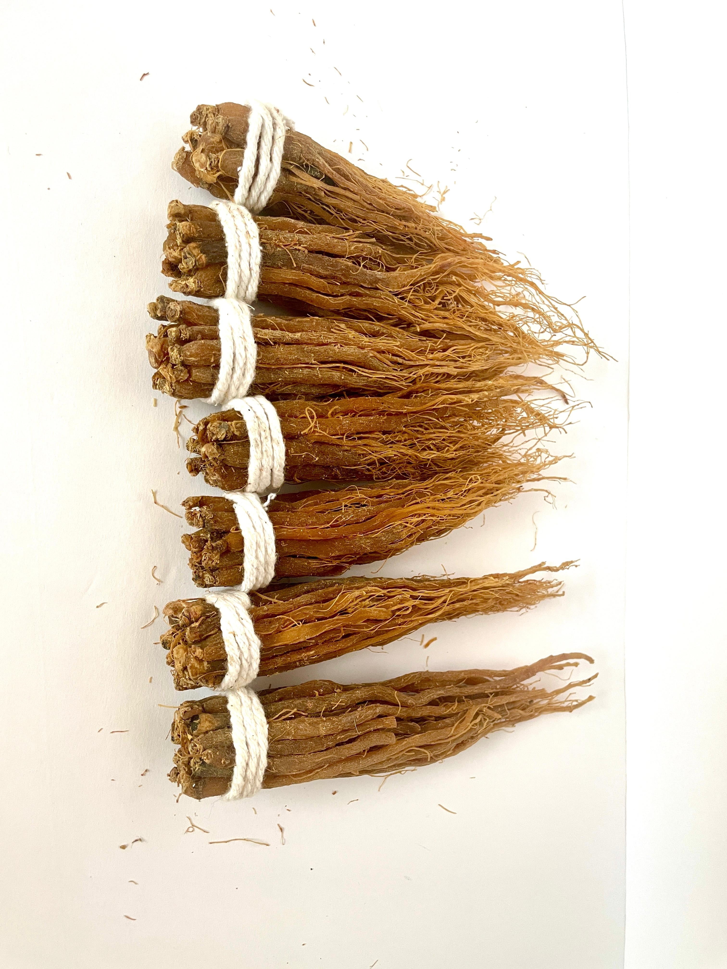 R. Terra Premium 6-Year-Old Organic Ginseng Root, 1 oz, Natural Energy and Immunity Booster ...