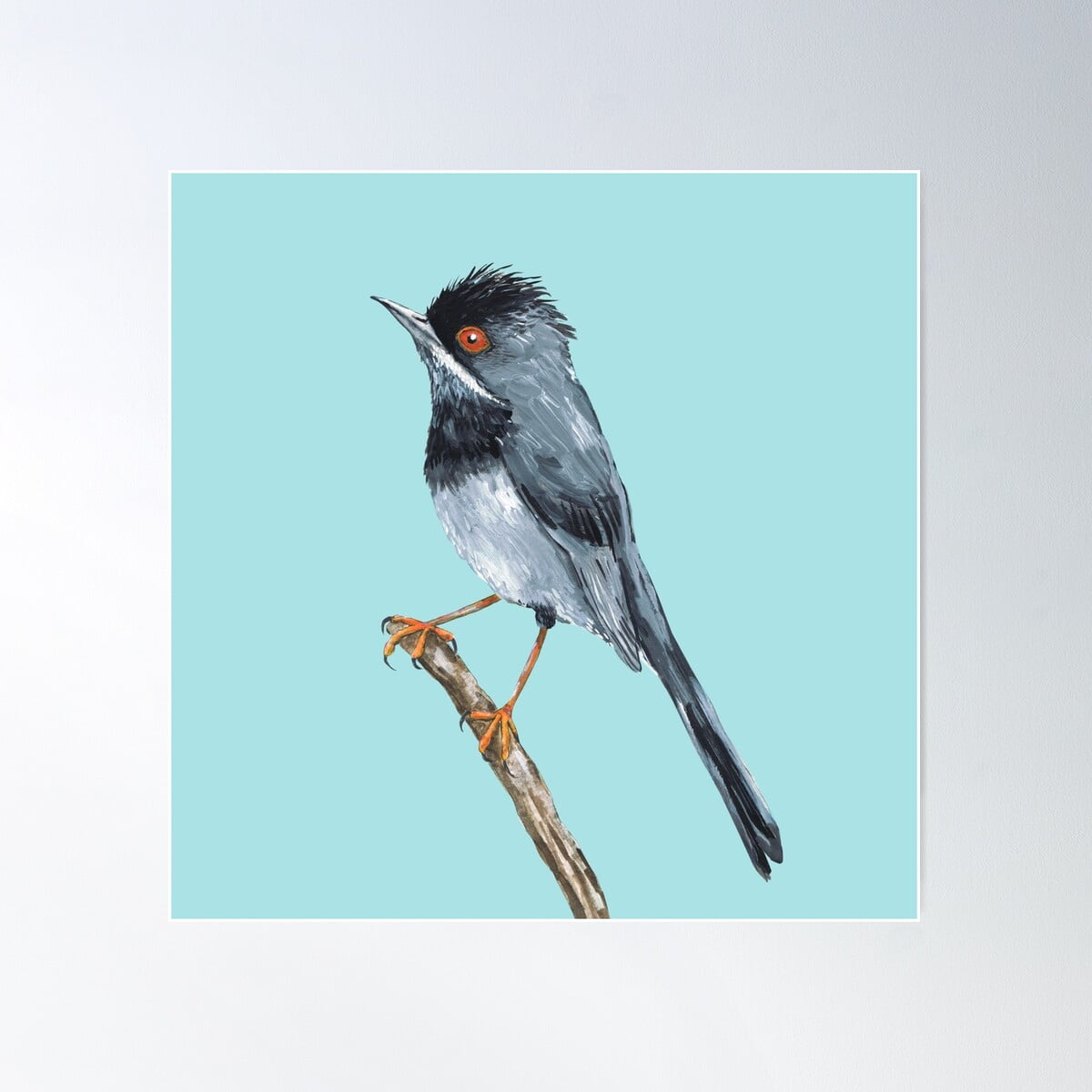 Rüppell'S Warbler Poster Wall Art, Modern Wall Decor For Living Room ...