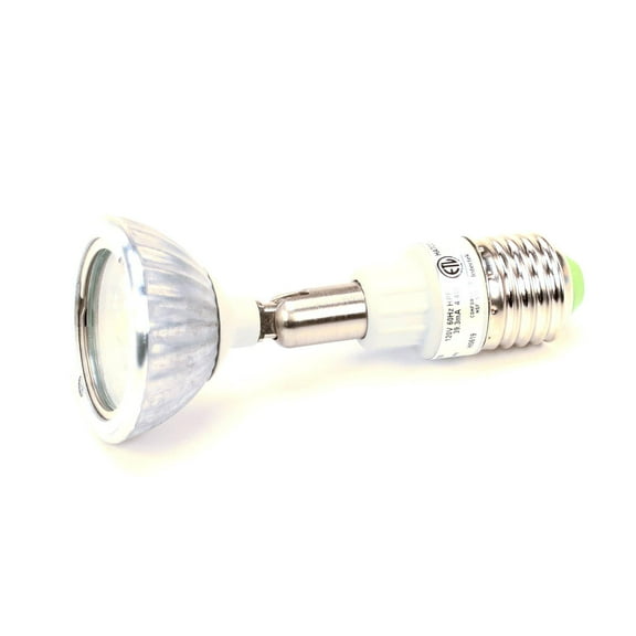 Govee Light Bulb