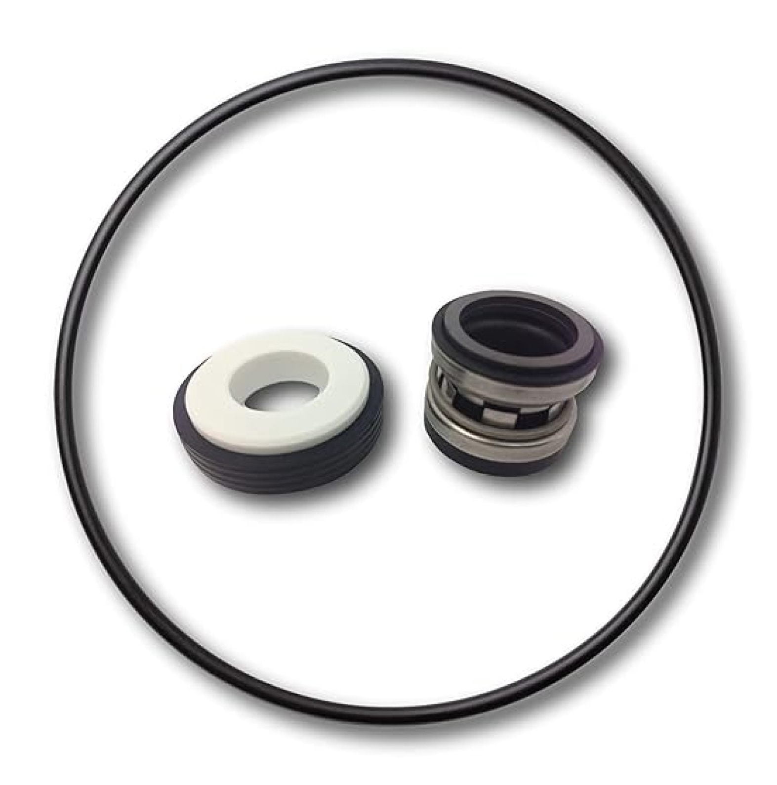 R0446300 R0479400 Backplate O-Ring and Shaft Seal for Jandy Pool Pumps ...