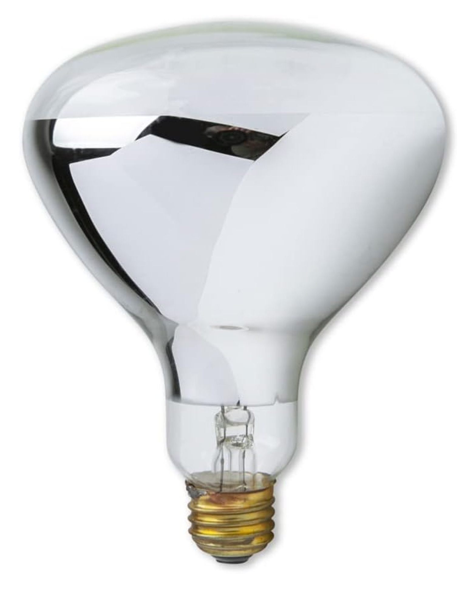 R40 500 Watt Pool Bulb Replacement for R40FL500/HG Incandescent Flood ...