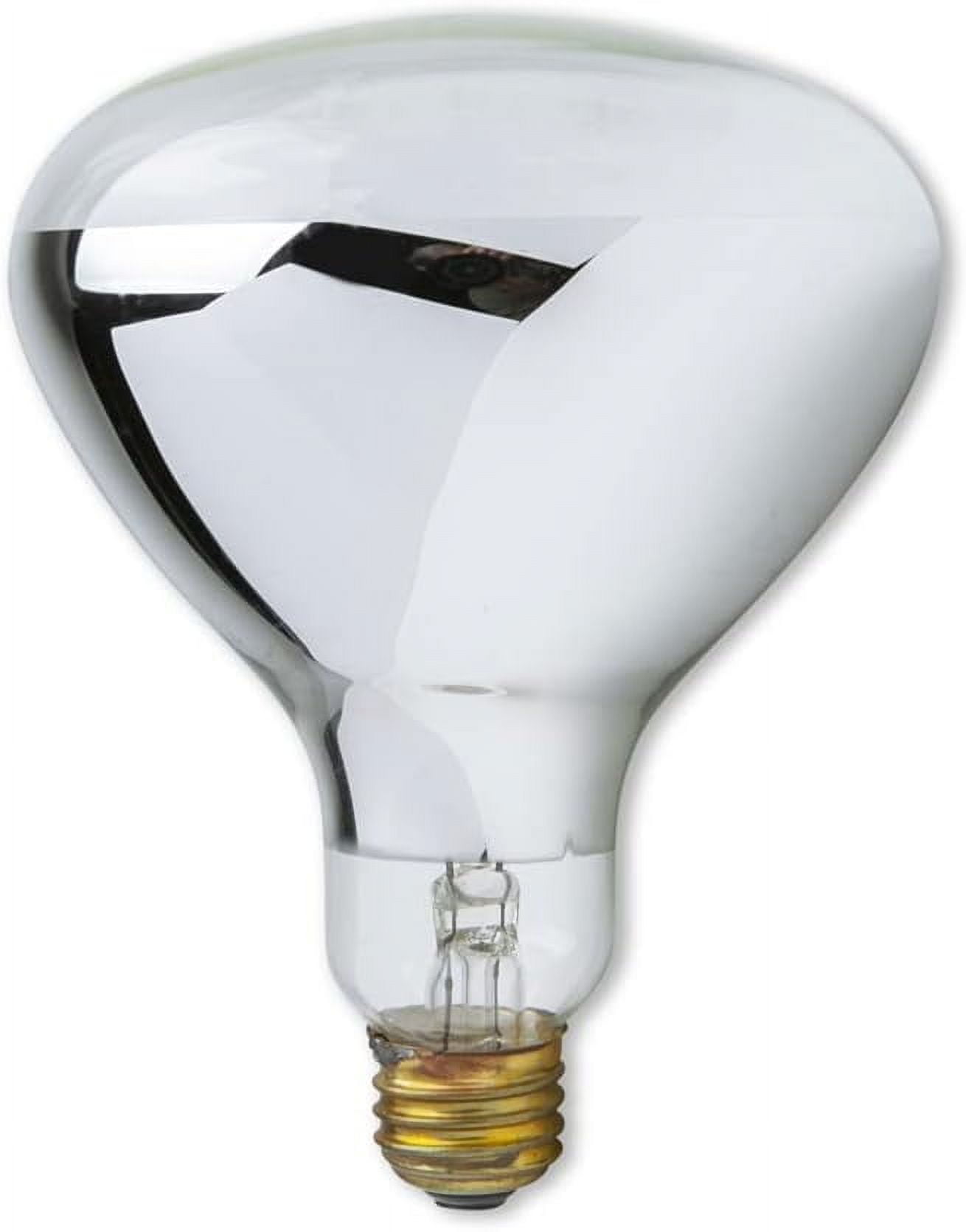 R40 500 Watt Pool Bulb Replacement for R40FL500/HG Incandescent Flood ...