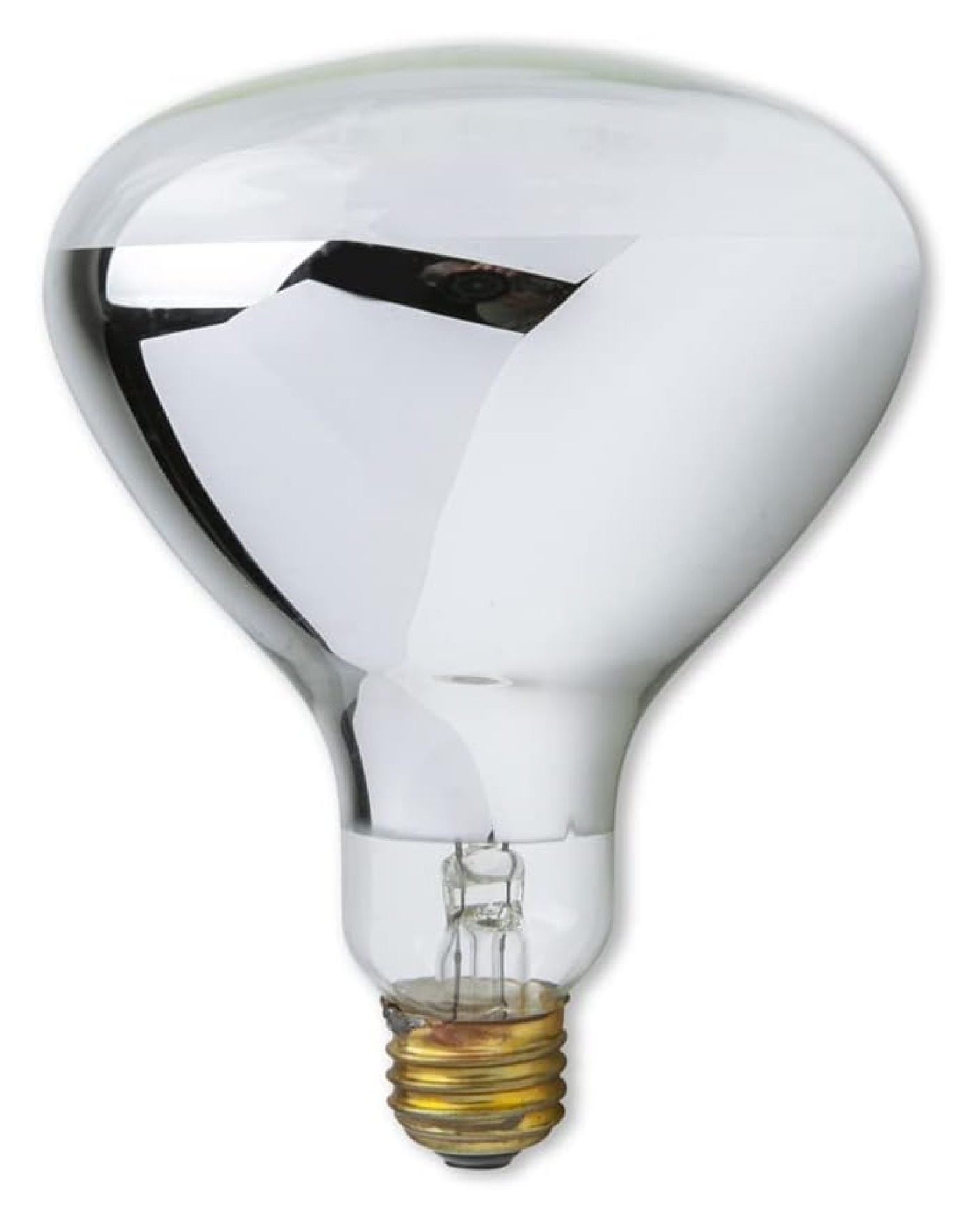 R40 500 Watt Pool Bulb Replacement for R40FL500/HG Incandescent Flood ...