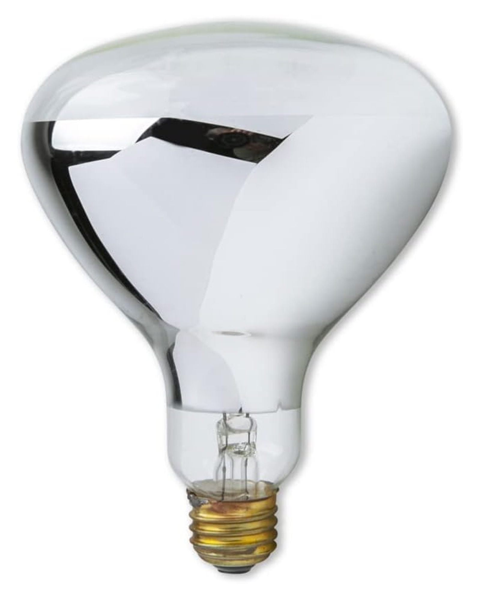 R40 500 Watt Pool Bulb Replacement for R40FL500/HG Incandescent Flood ...