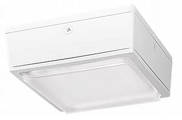 RAB Lighting 20W VANLED Cool LED Drop Lens White Canopy Light - Walmart.com