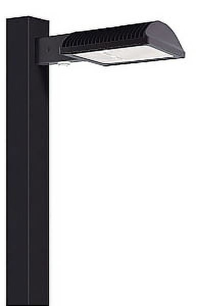 RAB Lighting 50W LED ALED50 Warm Type III Bronze Area Light with 8in ...