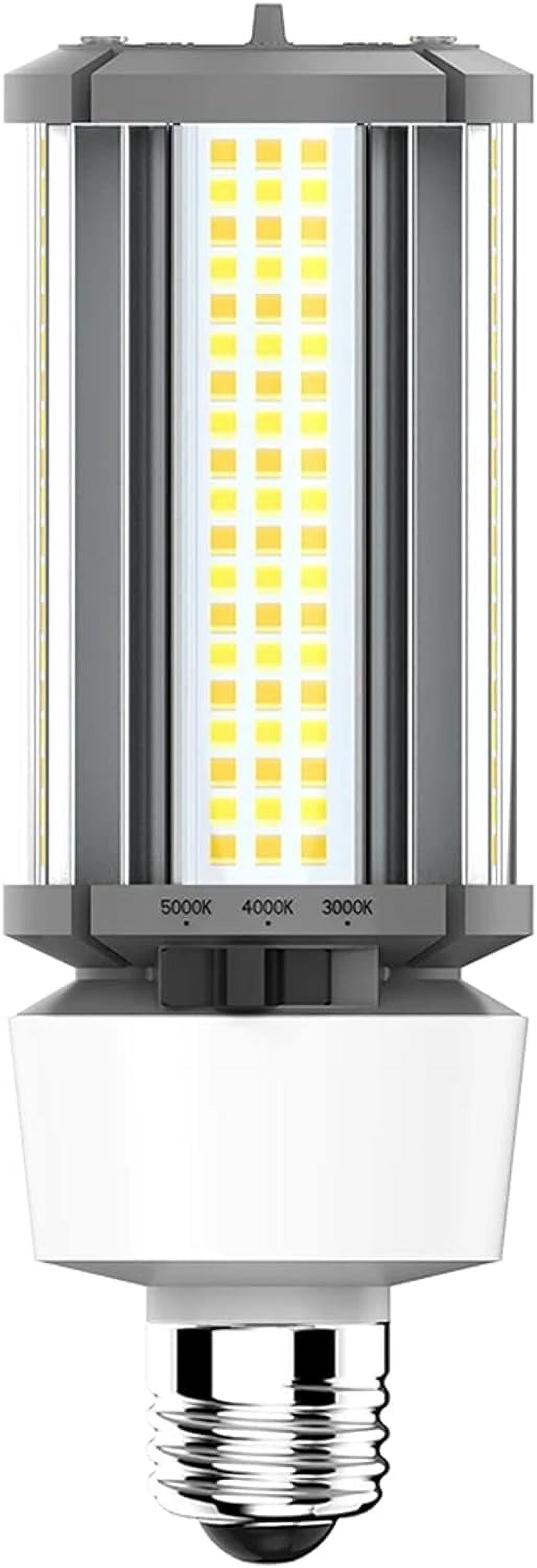 RAB Lighting Field Adjustable LED Corn Cob, 3000K/4000K/5000K ...